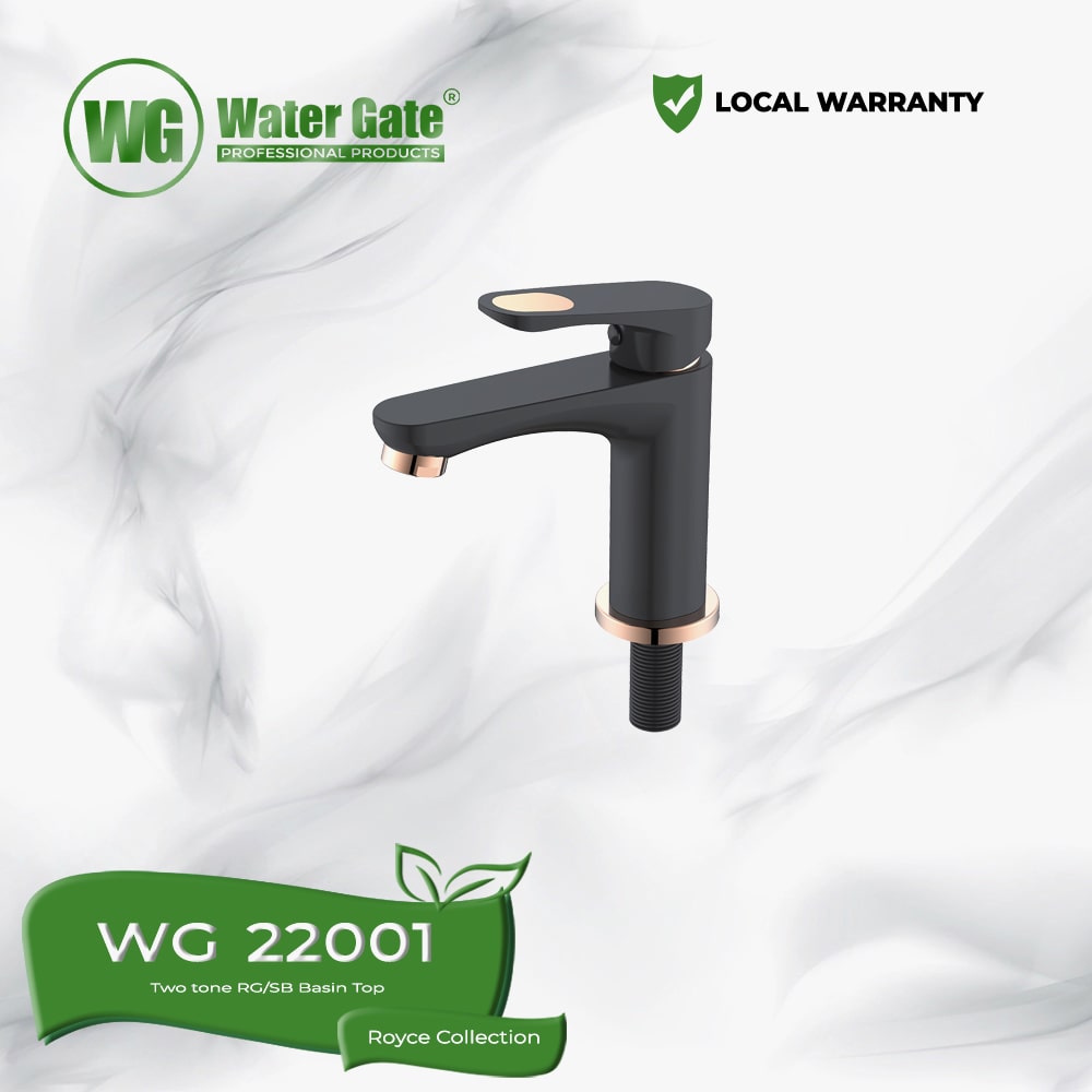 Water Gate WG 22001 | Two Tone RG/SB Basin Top - Watergate